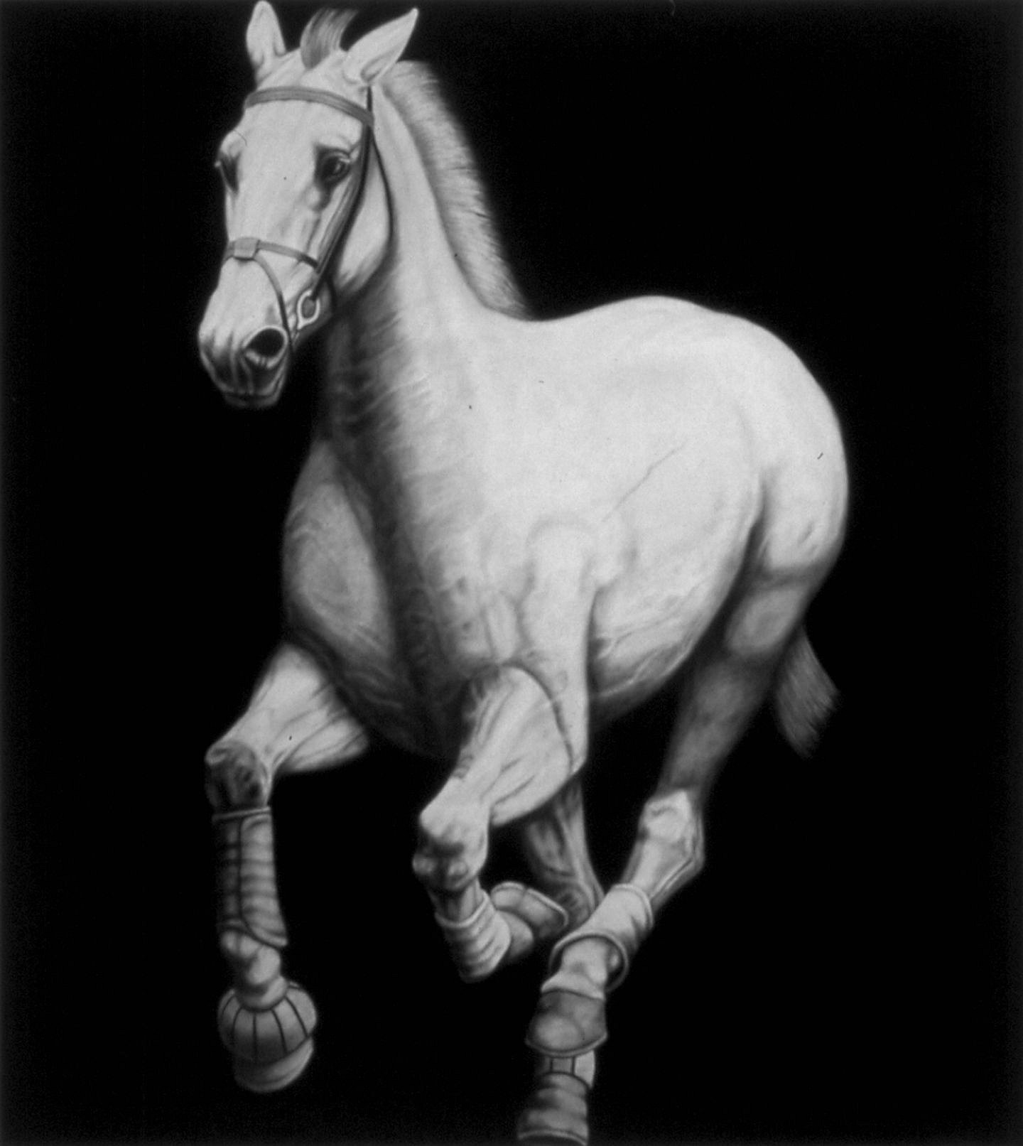 Joseph Piccillo | No. 12 | 2007 | Sponder Gallery